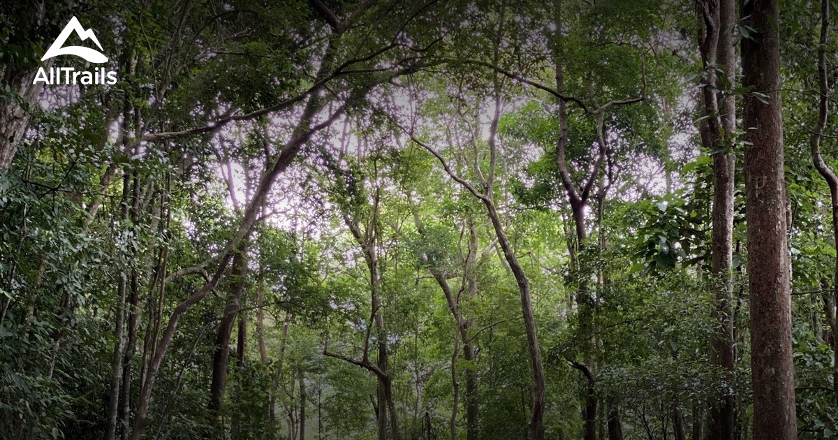 2023: Beste Routen in der Umgebung von Bukit Tampin Waterfall | AllTrails