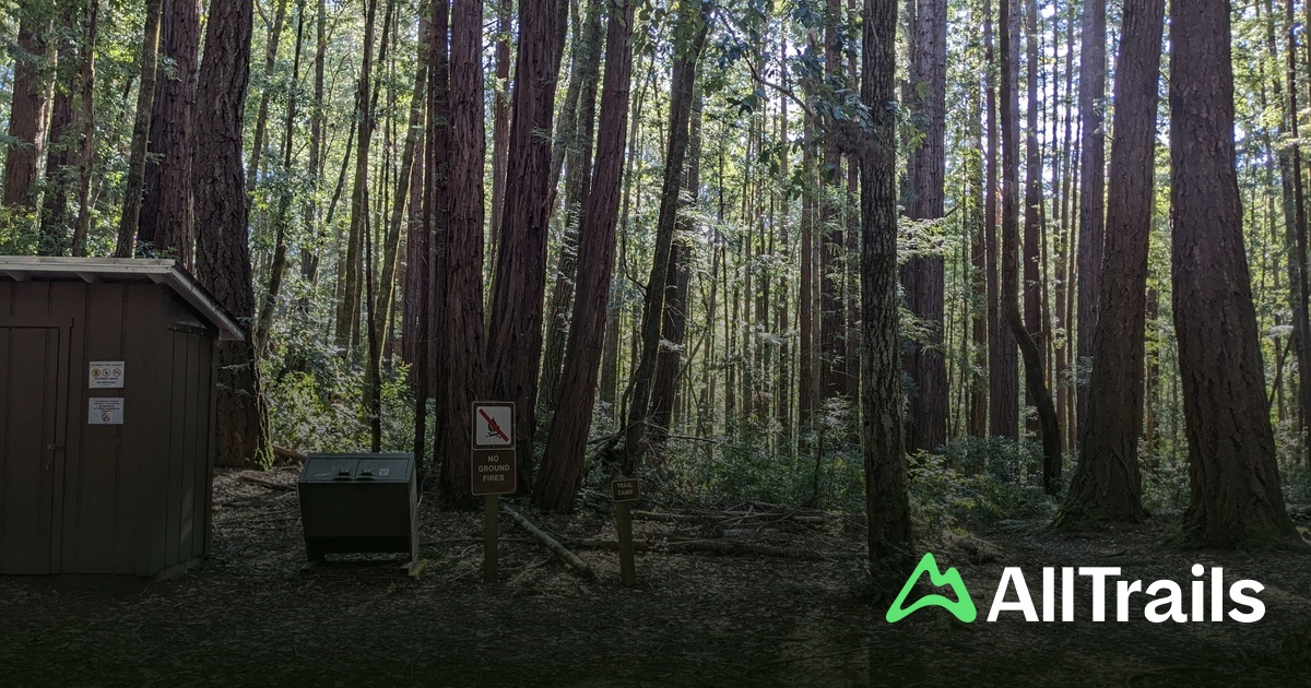 Slate Creek Trail Camp - hikes and trails to get you there | AllTrails