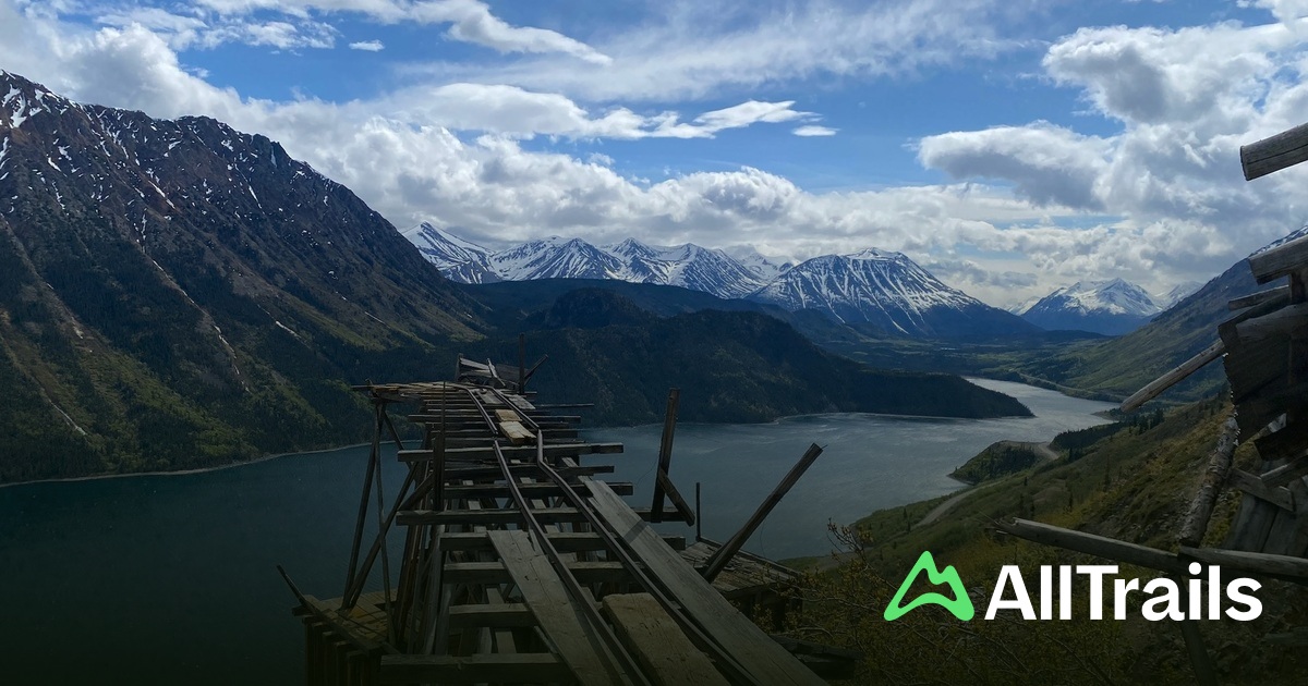 Tagish Lake - hikes and trails to get you there | AllTrails