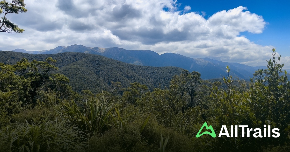 Blue Range Hut - hikes and trails to get you there | AllTrails