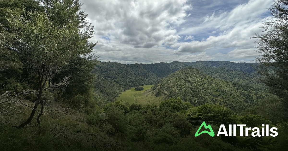 Taupiri trig - hikes and trails to get you there | AllTrails