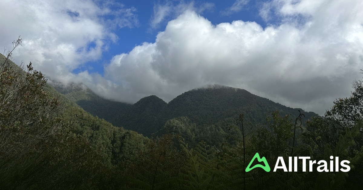 Anatoki Forks Hut - hikes and trails to get you there | AllTrails