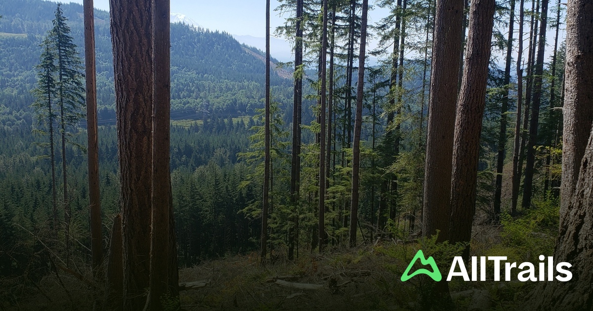 Tiger Summit Trailhead (east Tiger Mountain State Forest) - hikes and ...