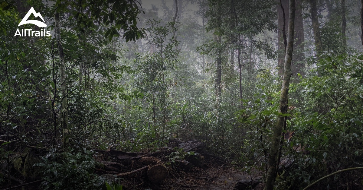 Tenison Woods Mountain - hikes and trails to get you there | AllTrails