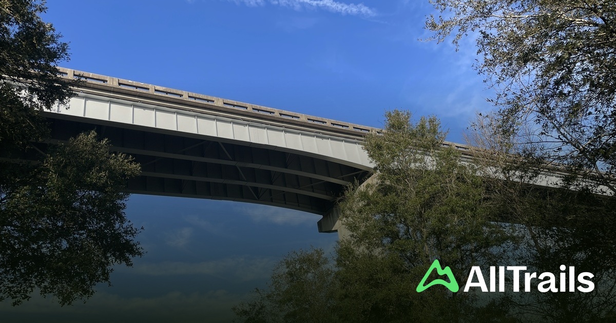 Cross Florida Barge Canal - hikes and trails to get you there | AllTrails