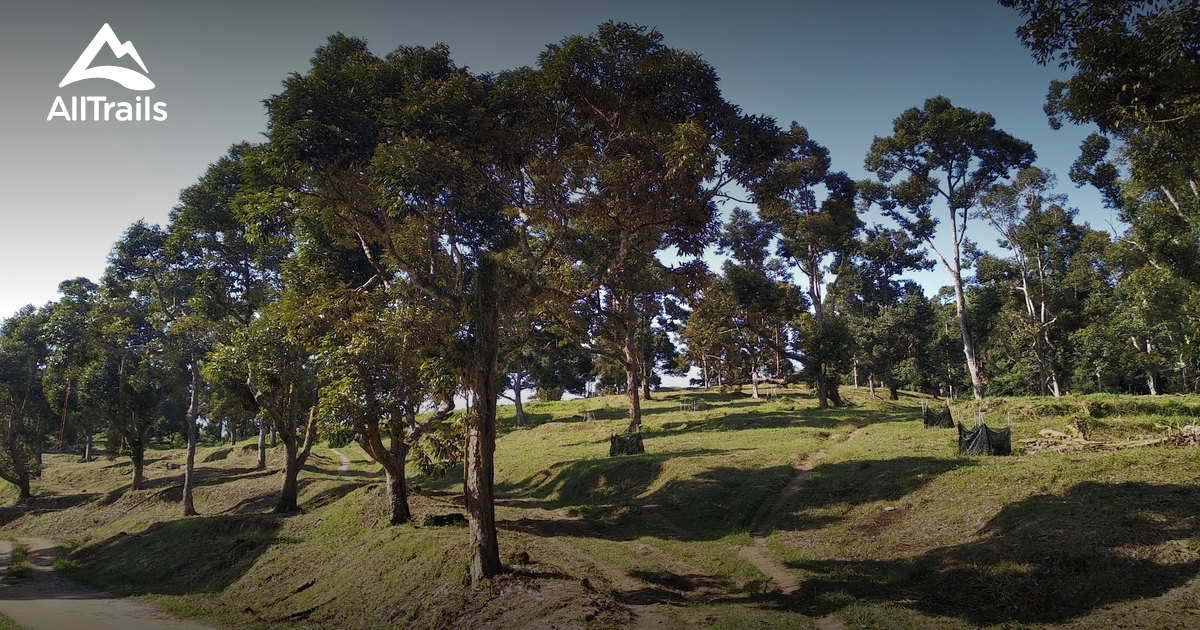 Bukit Papan - hikes and trails to get you there | AllTrails