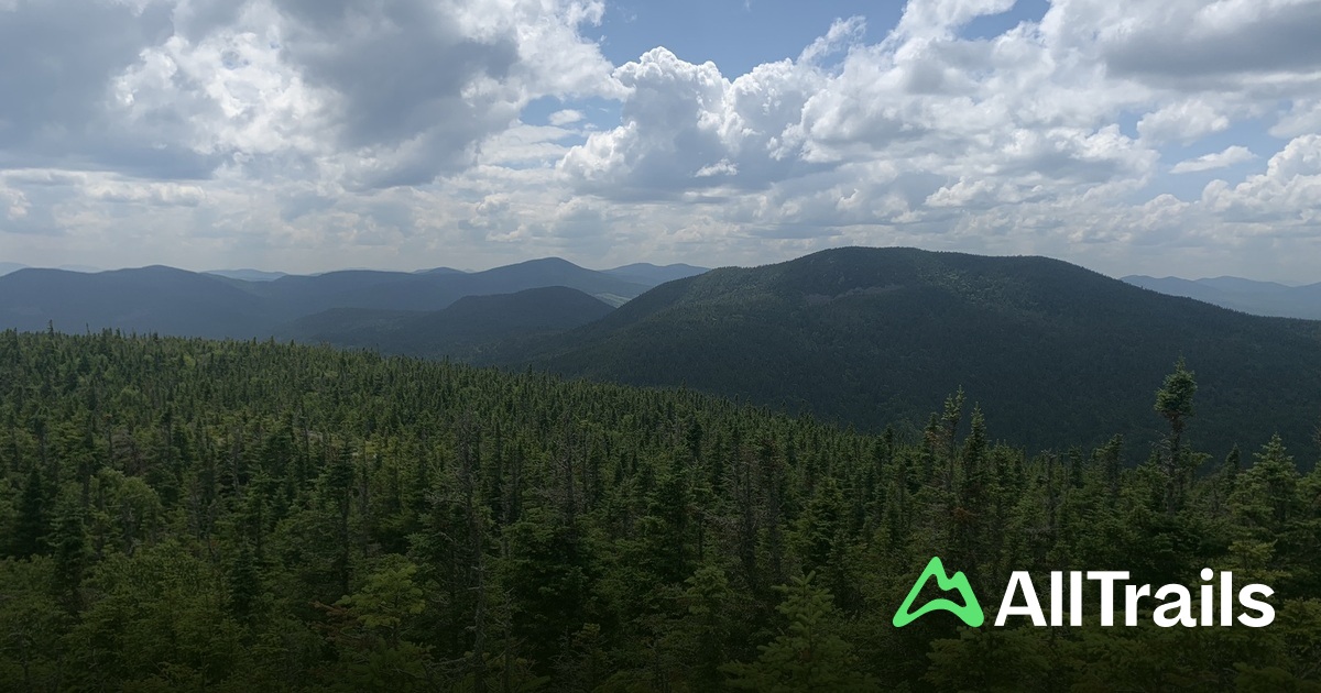 Fire Tower - hikes and trails to get you there | AllTrails