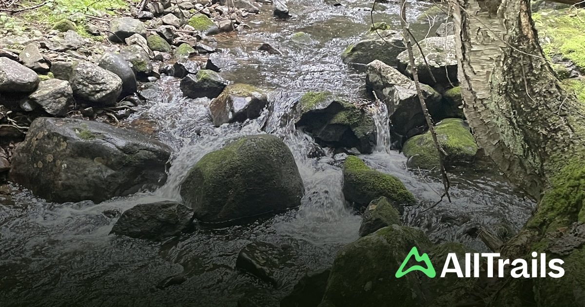 Wolf Pond - hikes and trails to get you there | AllTrails