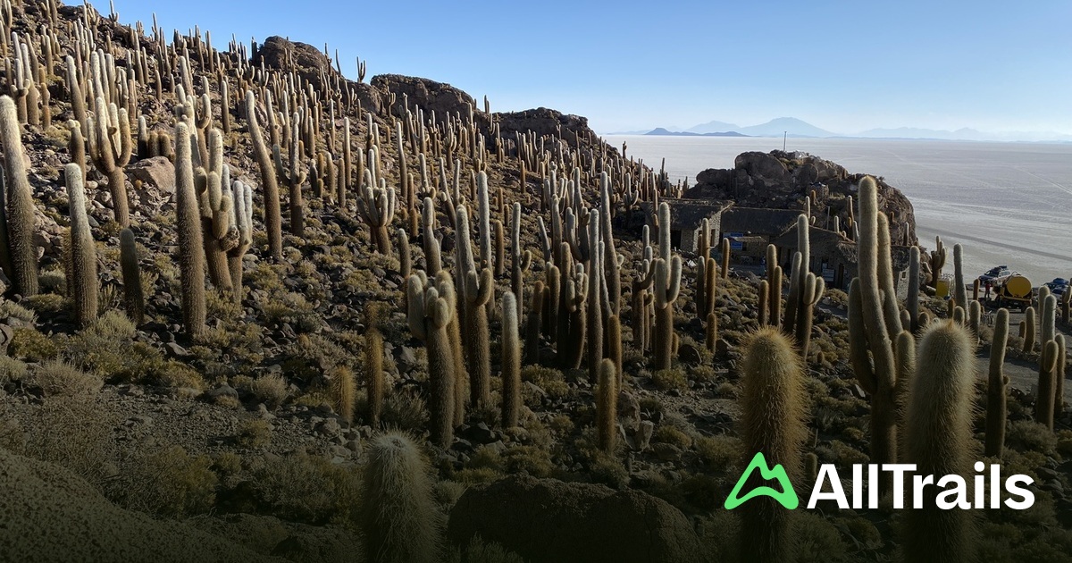 Isla Incahuasi - hikes and trails to get you there | AllTrails