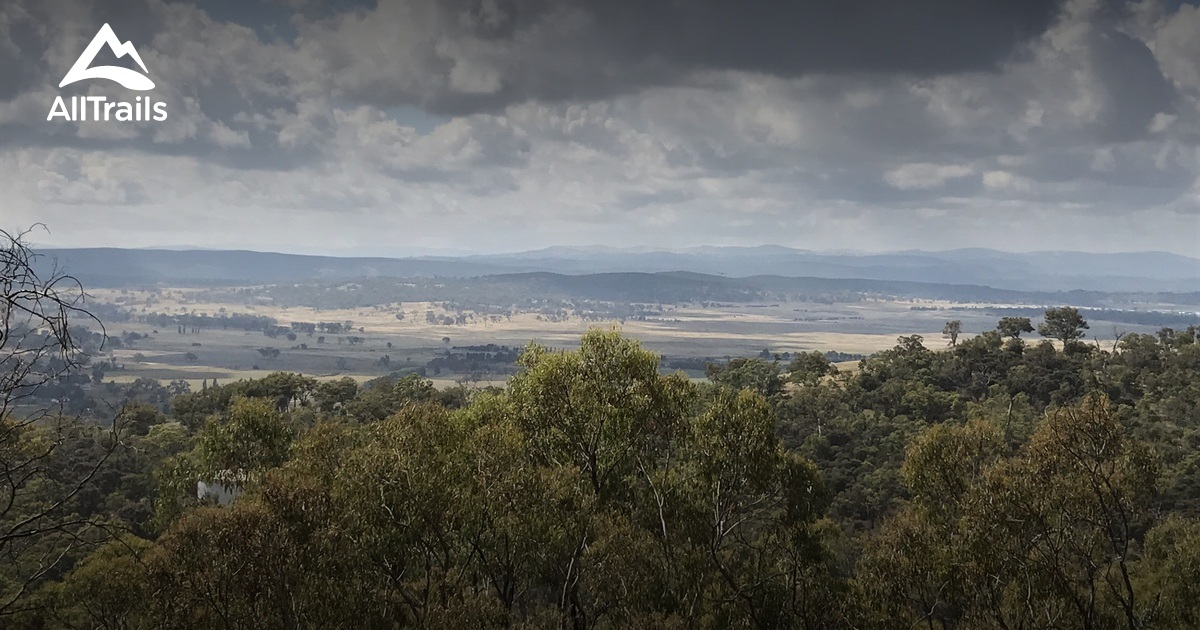 Mount Majura - hikes and trails to get you there | AllTrails