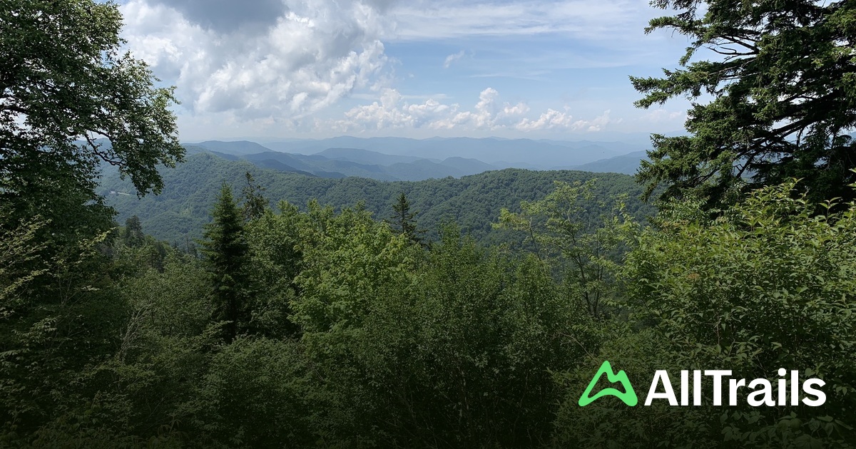 Newfound Gap Overlook - hikes and trails to get you there | AllTrails
