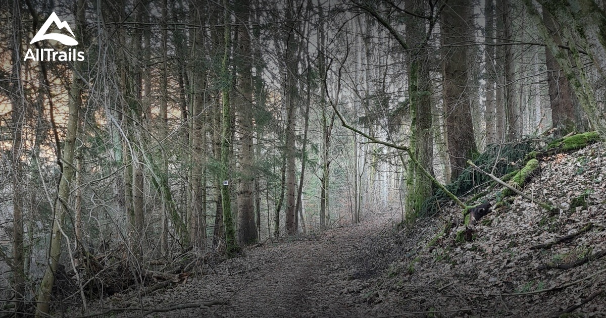 Galgenberg - hikes and trails to get you there | AllTrails