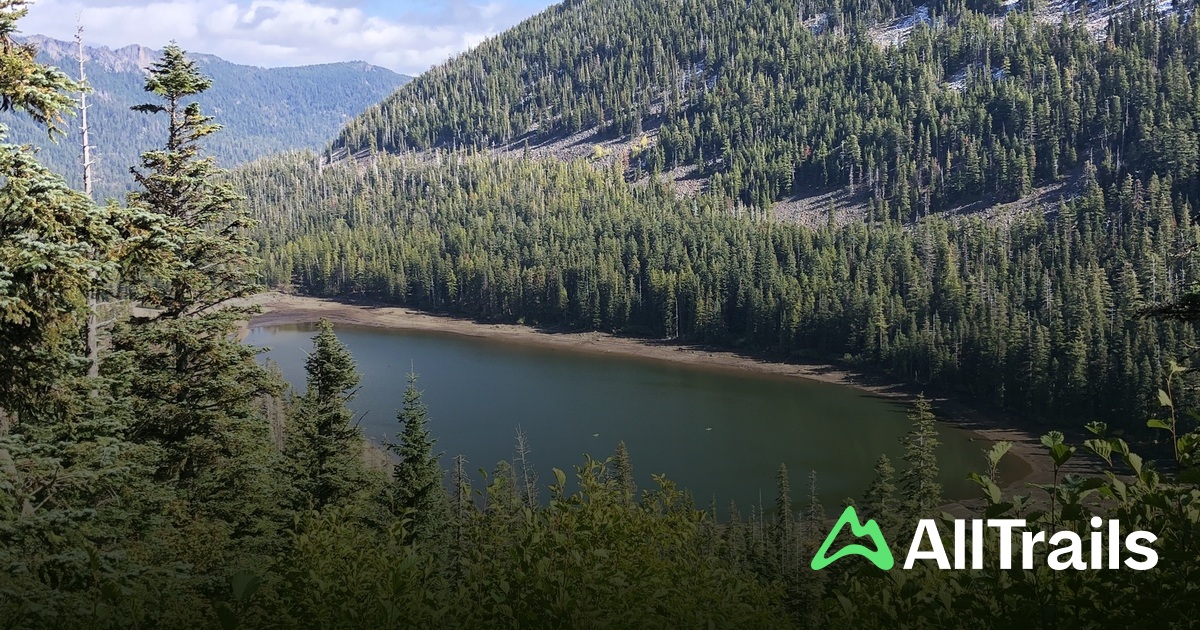 Camp Windy Campground: Die besten Routen in der Umgebung | AllTrails