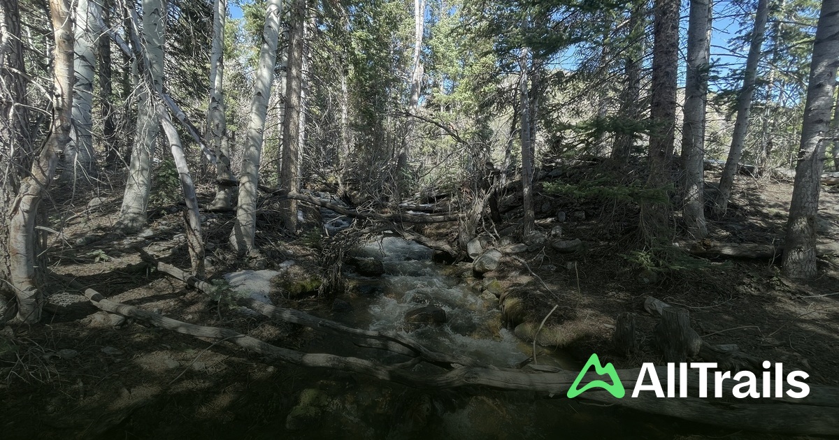 Grey Cliffs Campground - hikes and trails to get you there | AllTrails