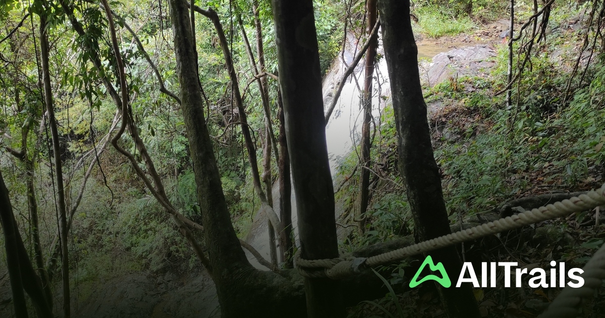 Huai To waterfall - hikes and trails to get you there | AllTrails