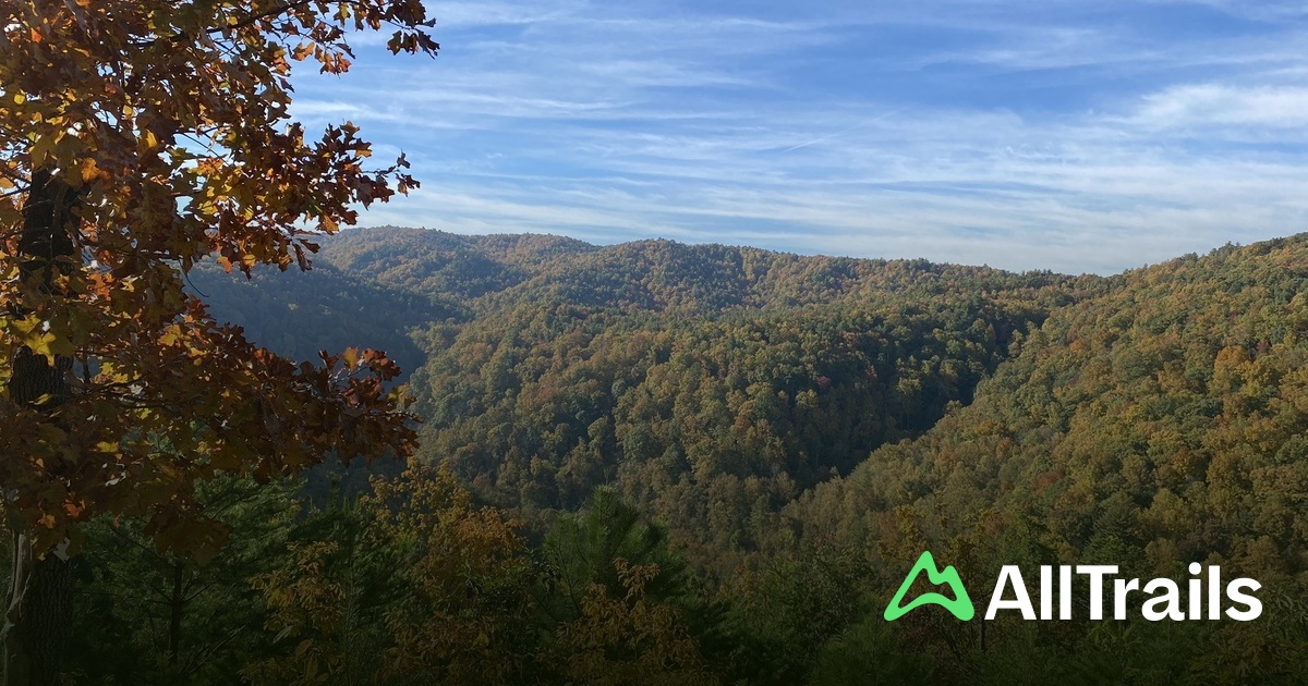 Jacob Fork Overlook - hikes and trails to get you there | AllTrails