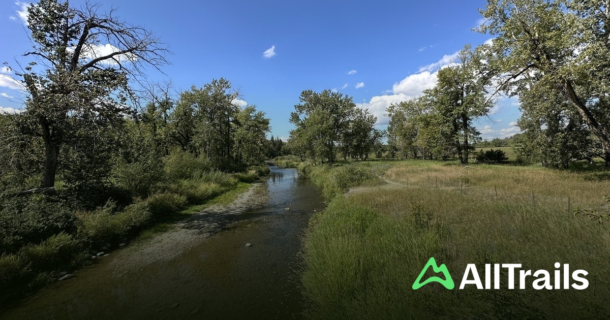 Sikome Lake West - hikes and trails to get you there | AllTrails
