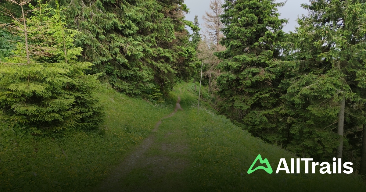 Los mejores senderos cerca de pri Krkavej skale | AllTrails