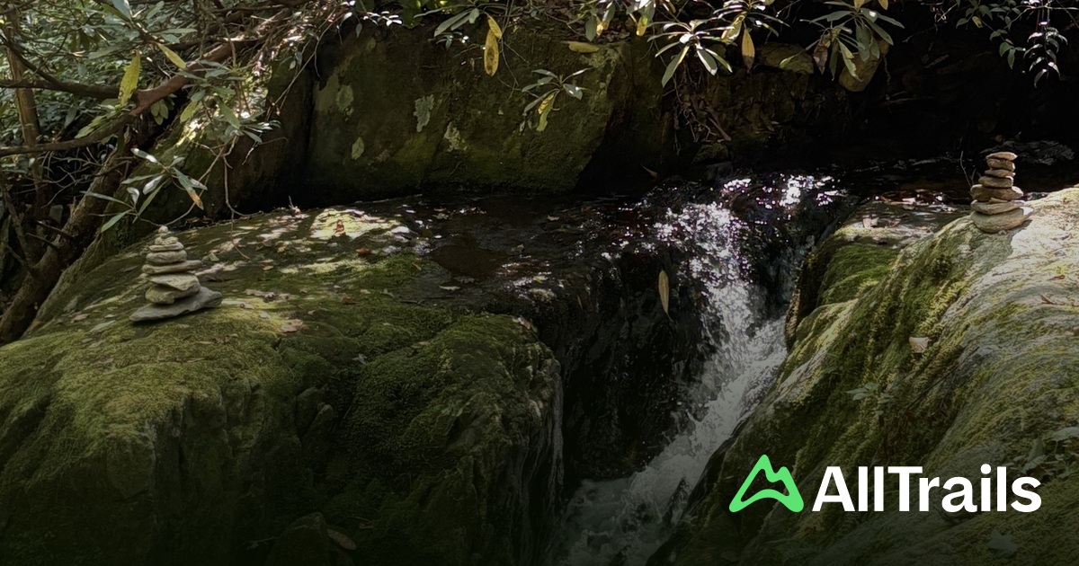 Mortimer Campground - hikes and trails to get you there | AllTrails