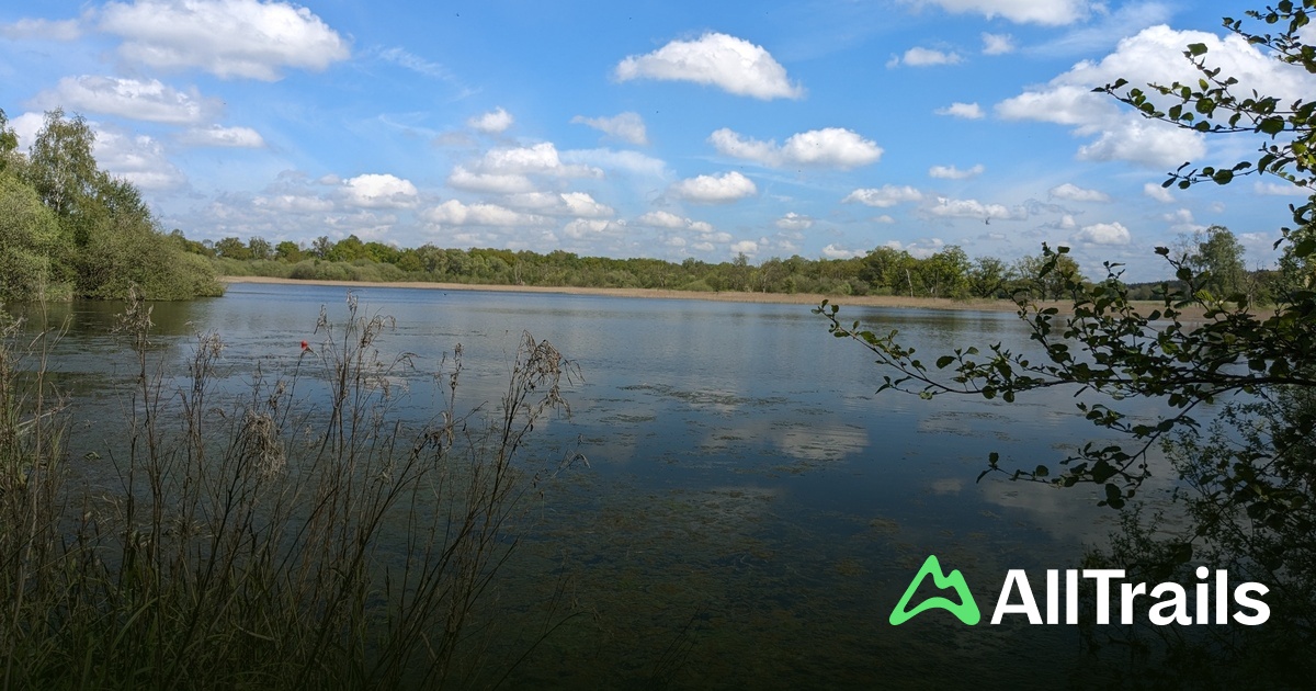 Thompson Water - hikes and trails to get you there | AllTrails