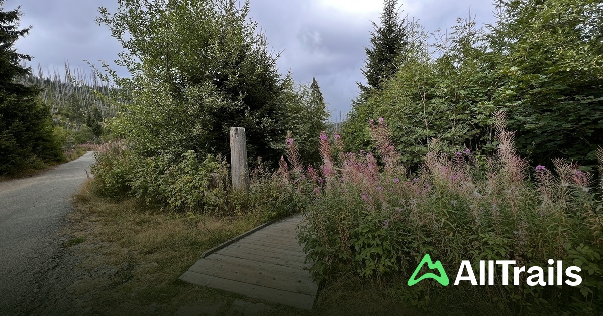 Zajatecký tábor, Prameny Vltavy: Die besten Routen in der Umgebung ...