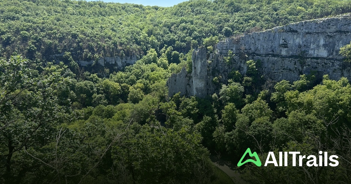 De beste stiene i nærheten av Combe Saint-Martin | AllTrails