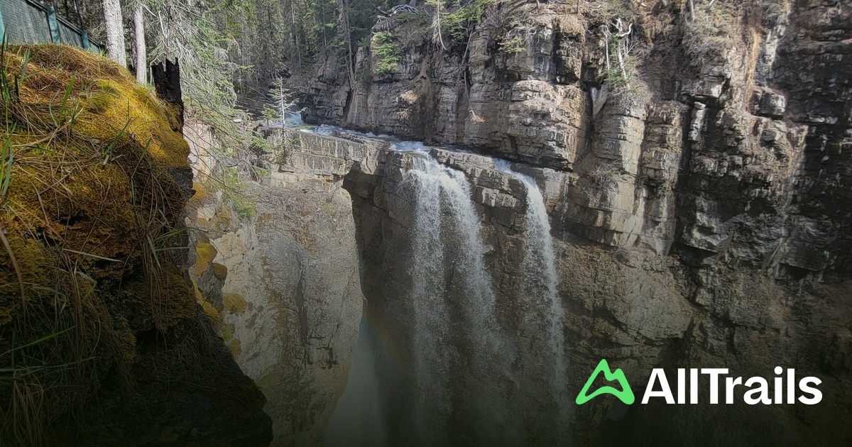 Lower Falls - hikes and trails to get you there | AllTrails