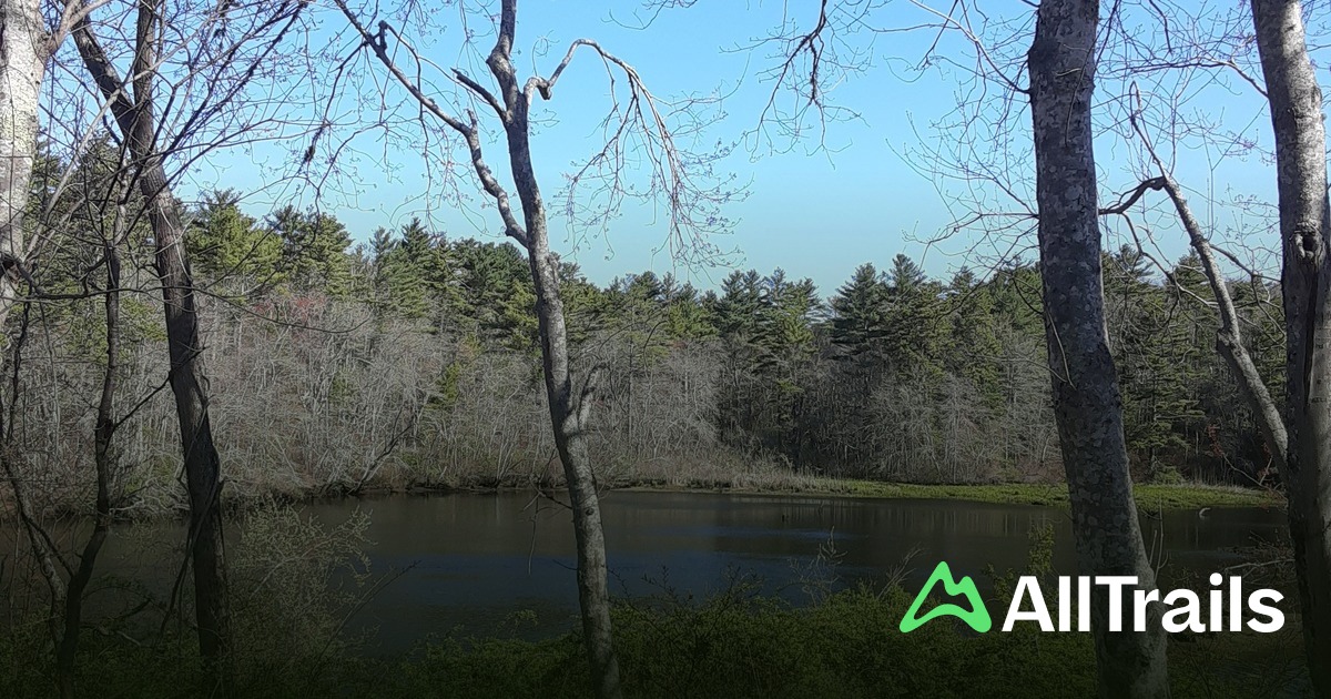 Horseshoe Pond Dam - hikes and trails to get you there | AllTrails