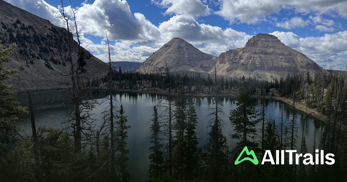Kamas Lake – najlepsze szlaki w pobliżu | AllTrails