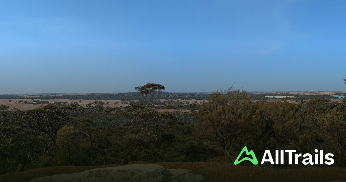 Corrigin Dog Cemetery: Die besten Routen in der Umgebung | AllTrails