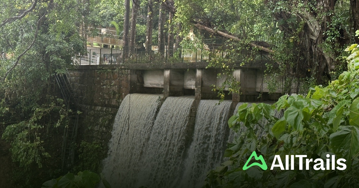 South Meridian Mark - hikes and trails to get you there | AllTrails