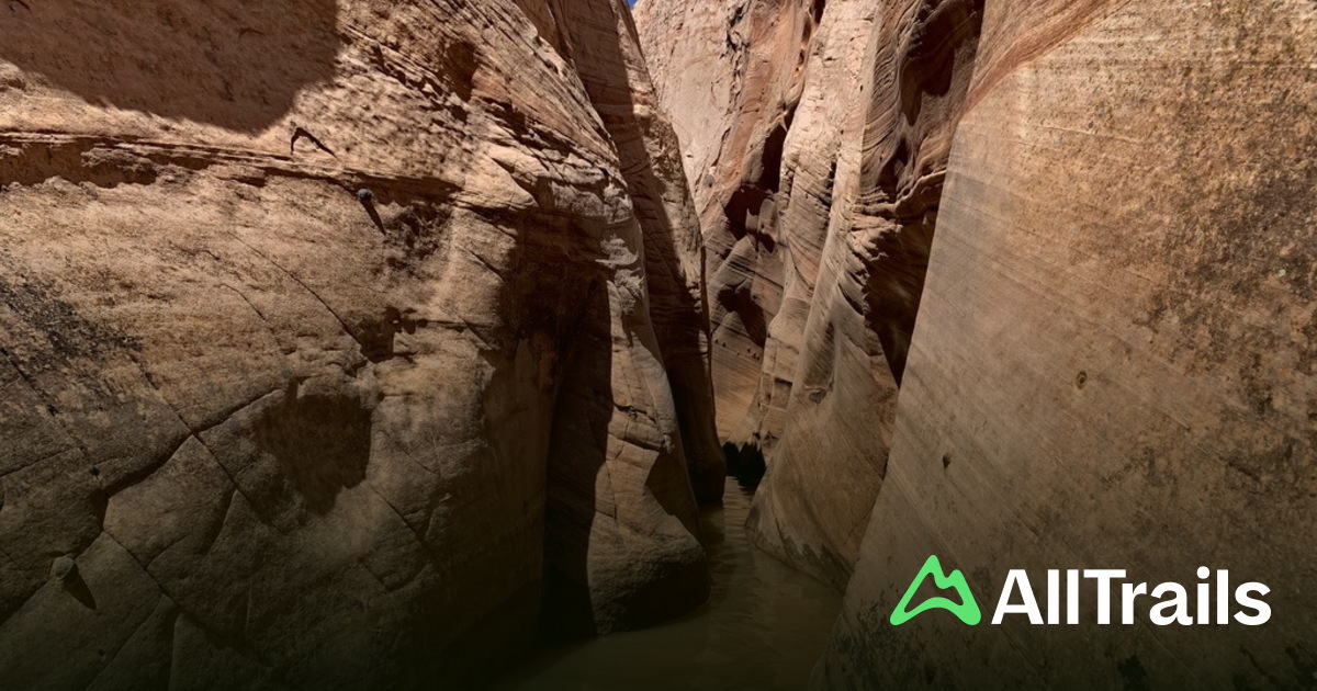 Zebra Slot Canyon - hikes and trails to get you there | AllTrails