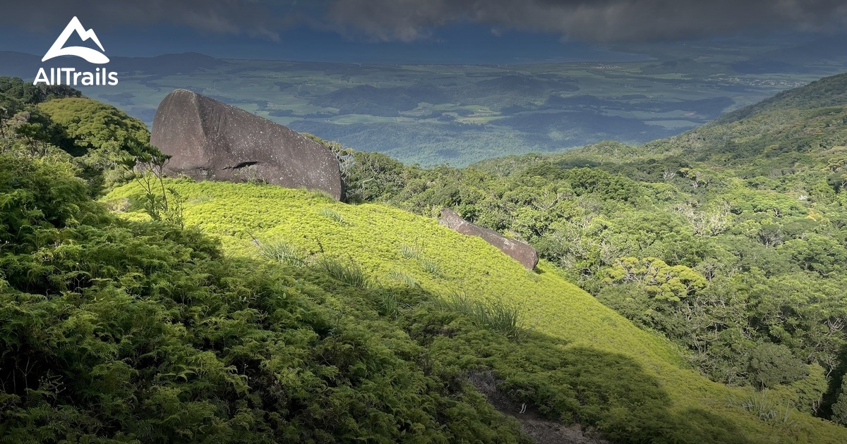 False Falls: Die besten Routen in der Umgebung | AllTrails