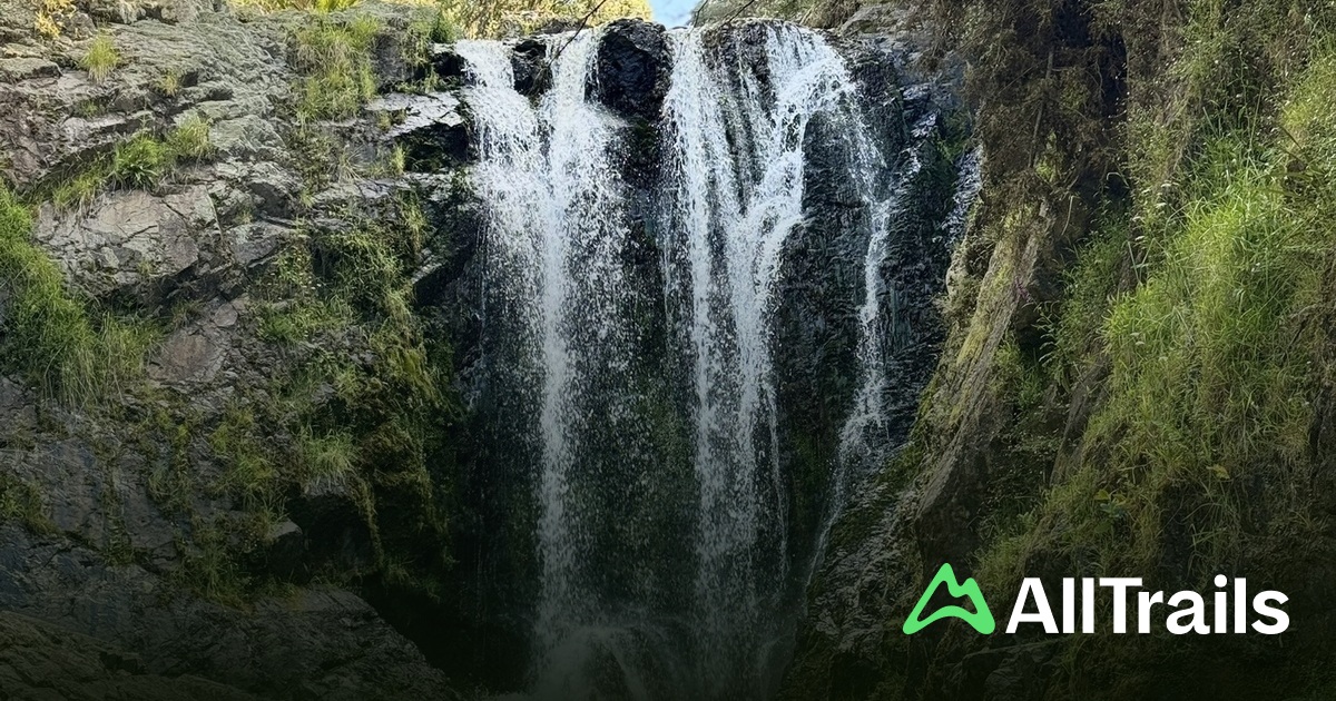 Ahuroa River - hikes and trails to get you there | AllTrails
