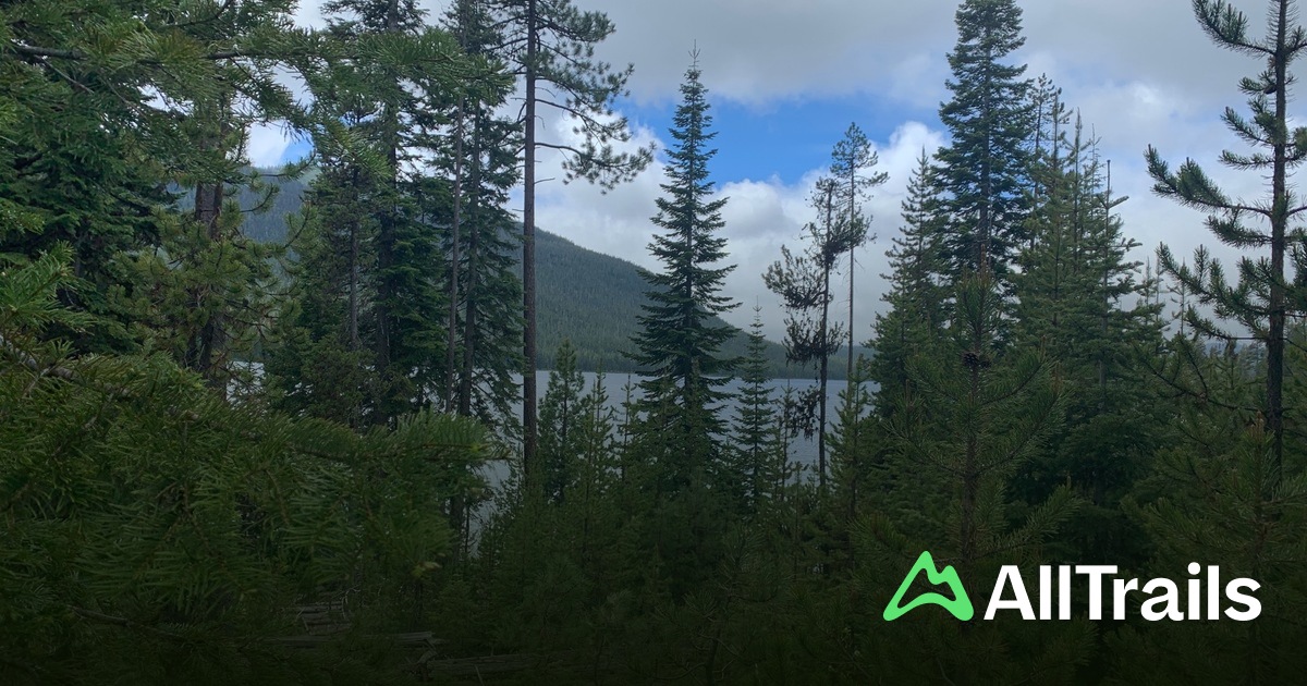 Deer Lake - hikes and trails to get you there | AllTrails