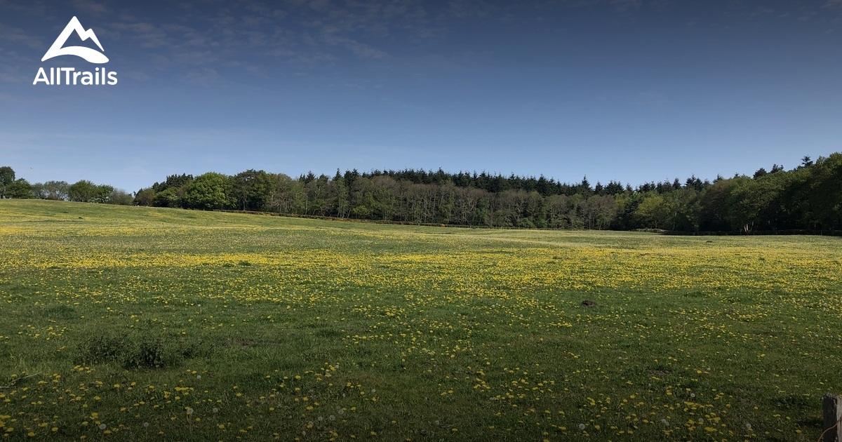 Best trails near Broxhead Common | AllTrails