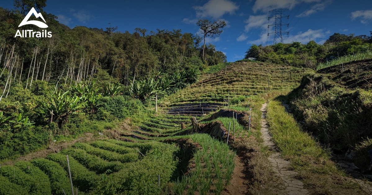 Gunung Jasar - hikes and trails to get you there | AllTrails