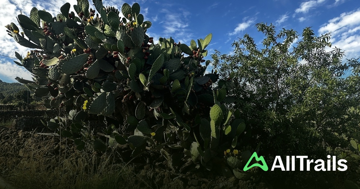 Best trails near Cueva del Mocán | AllTrails