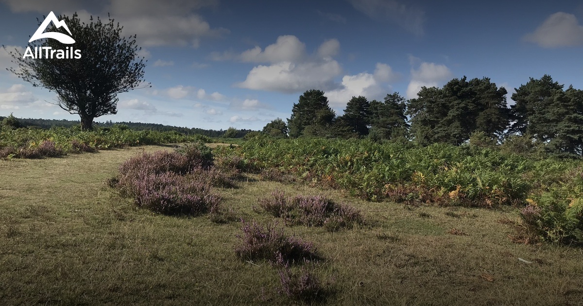 Best trails near Fox Hill | AllTrails