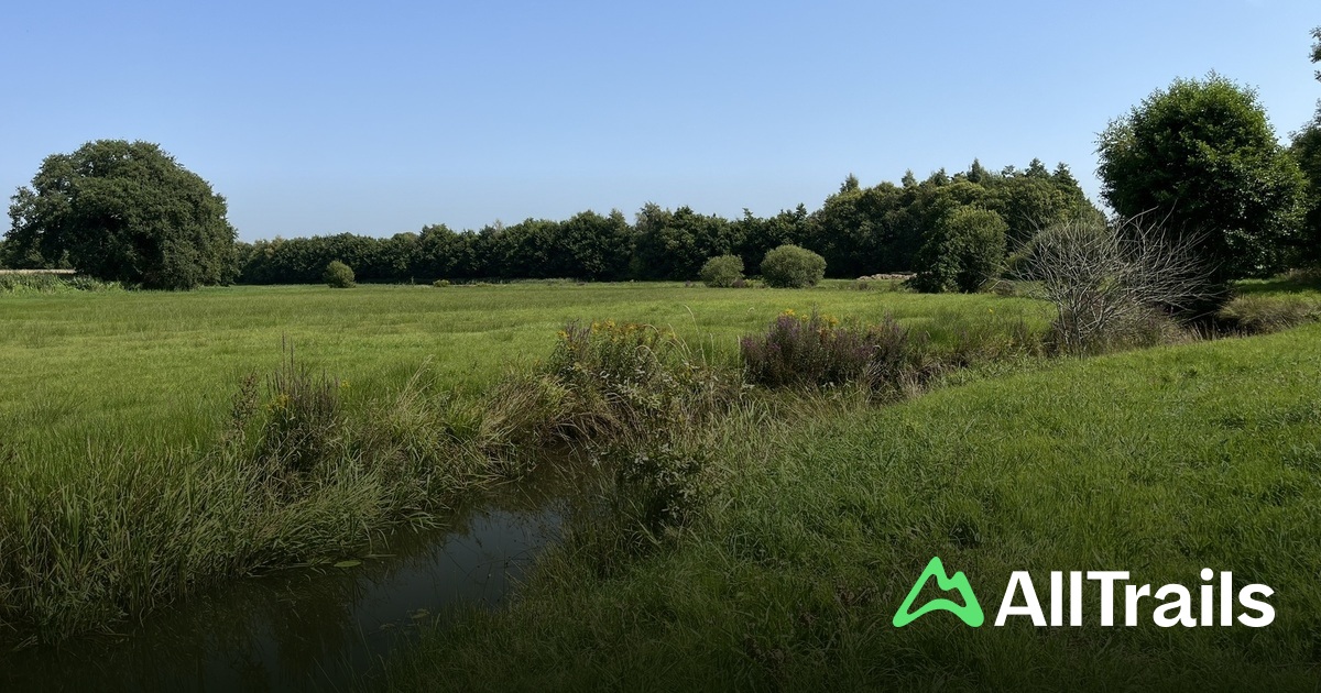 Bästa lederna nära bankje | AllTrails