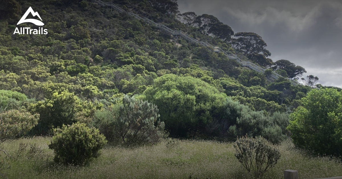 2023 Best Trails near Prospect Hill | AllTrails