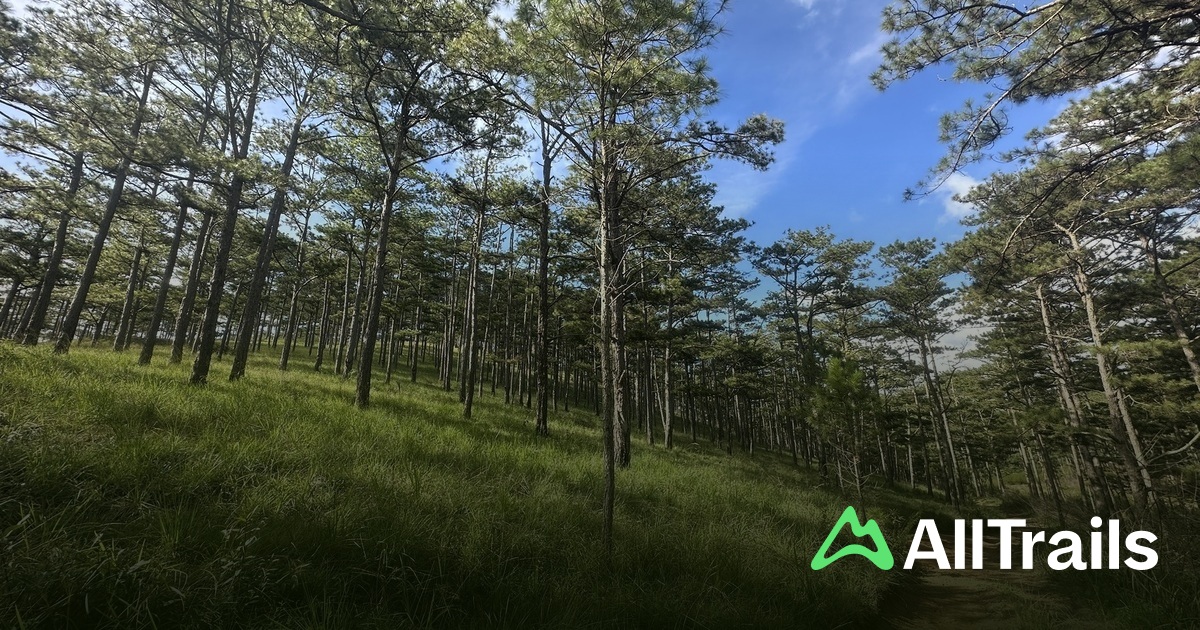 Best trails near Miniature Landmarks | AllTrails