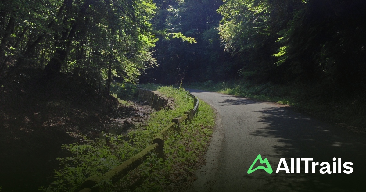 De beste stiene i nærheten av Malom-völgy | AllTrails