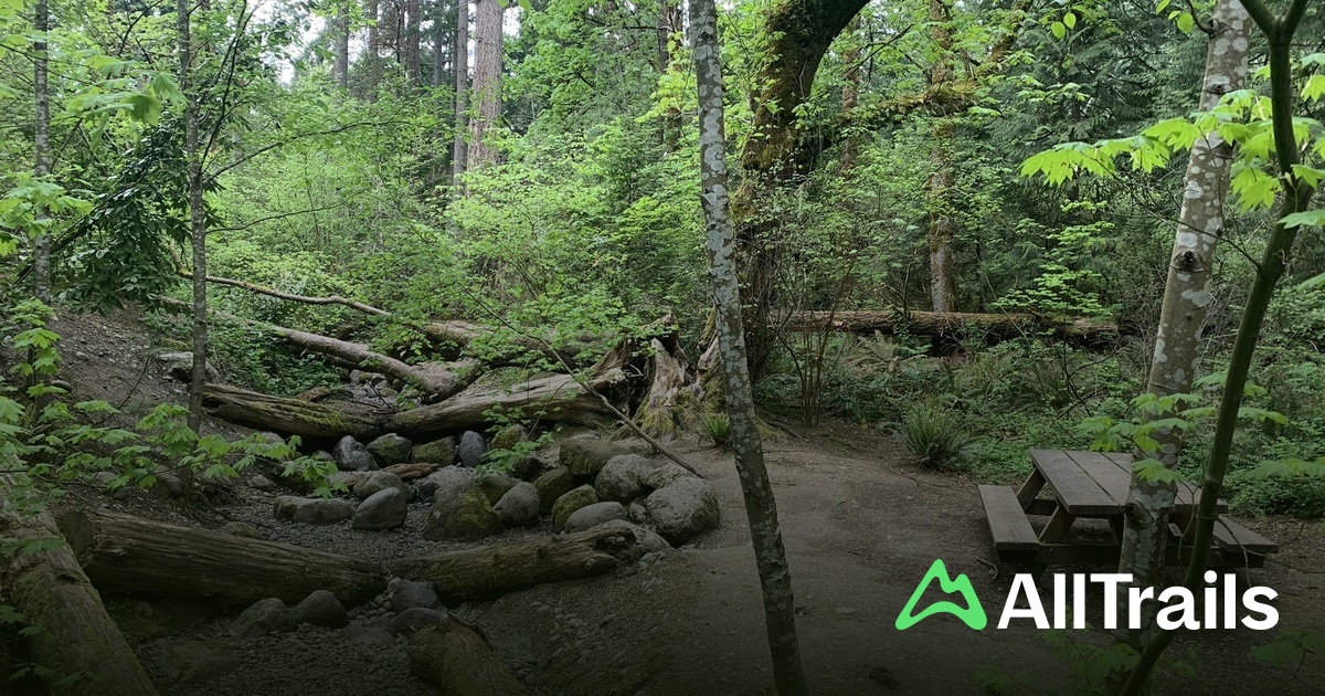 10 Best trails near Lake Sammamish | AllTrails