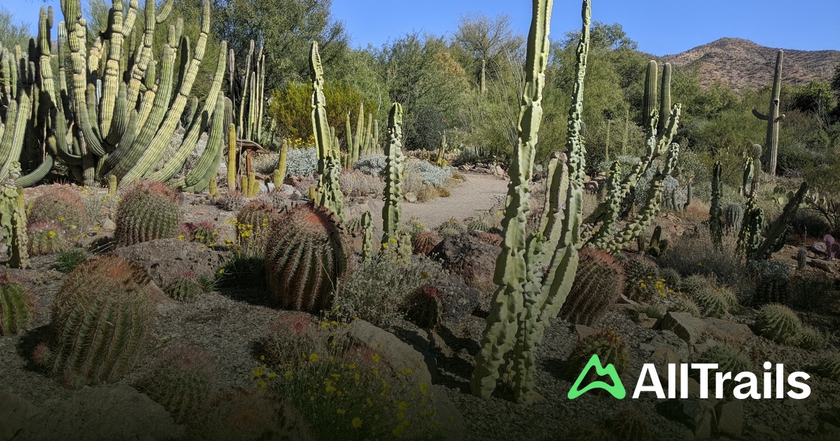 Raptor Free Flight - hikes and trails to get you there | AllTrails