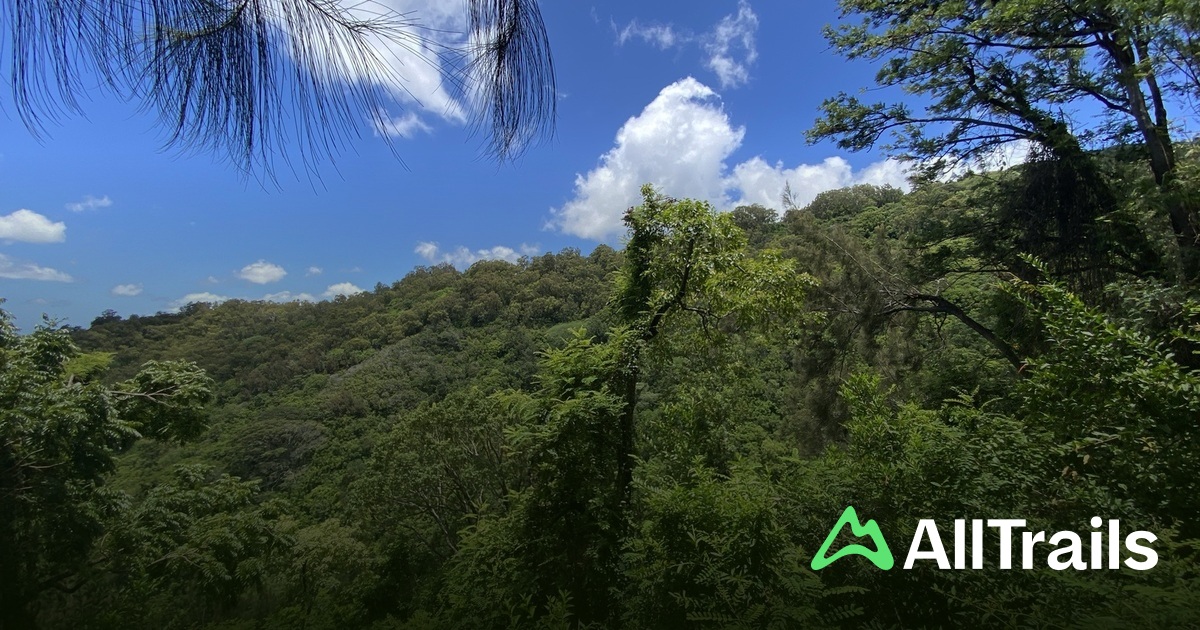 Makiki Springs - hikes and trails to get you there | AllTrails