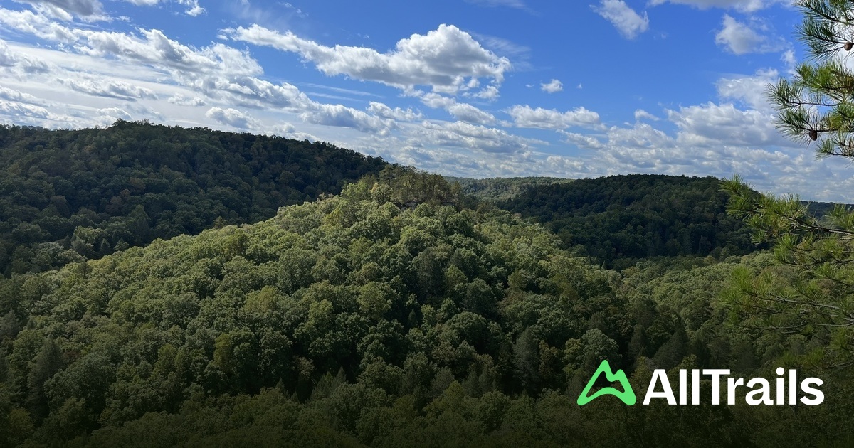 Three Forks of Beaver Overlook – najlepsze szlaki w pobliżu | AllTrails