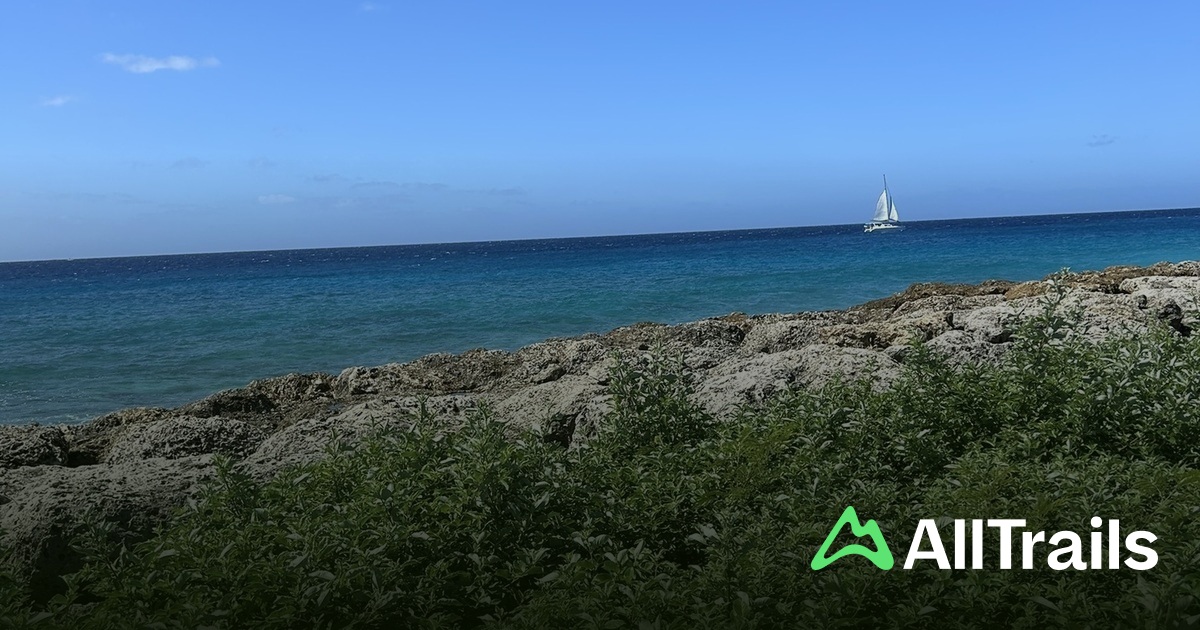 Independence Arch - hikes and trails to get you there | AllTrails