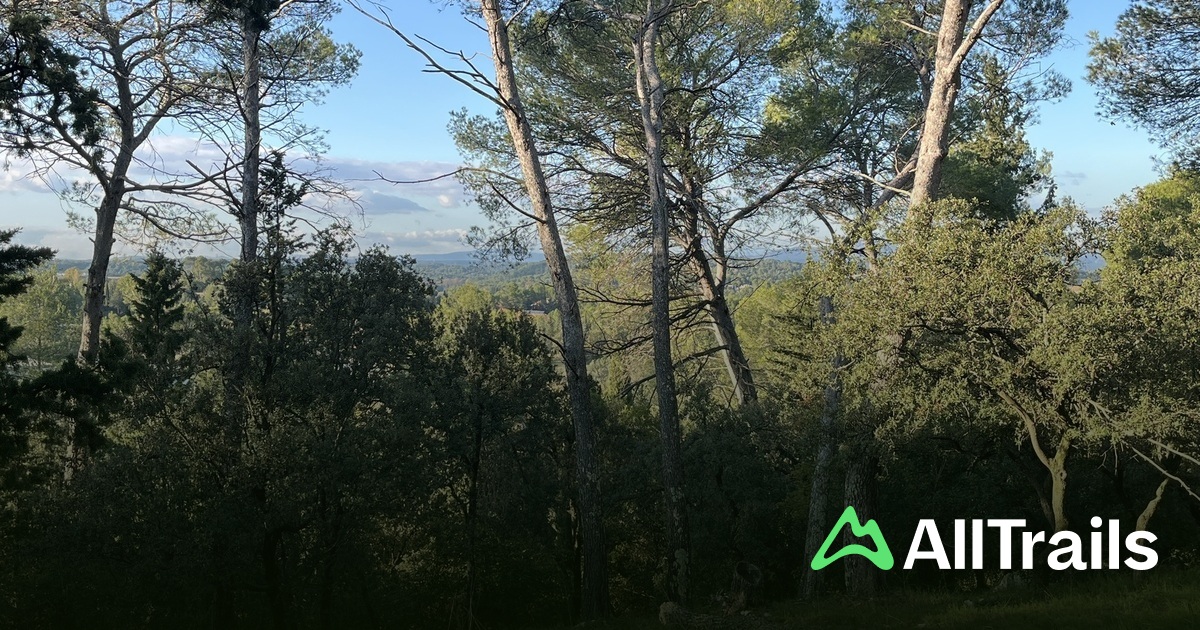 Best trails near Vigogne | AllTrails