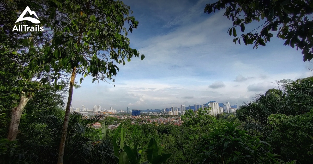 Die 10 Besten Routen in der Nähe von Bukit Kiara | AllTrails